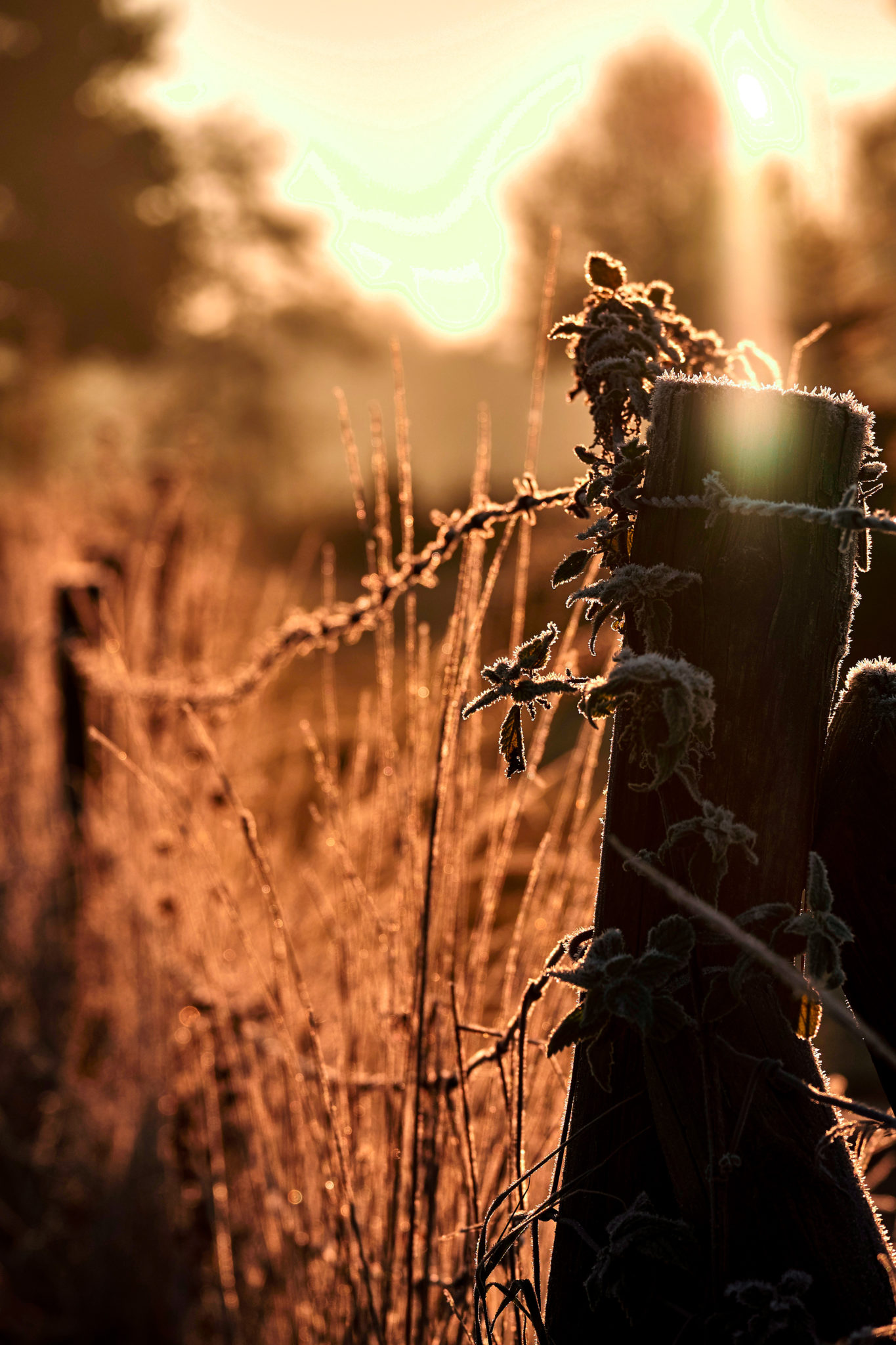 Ostwestfalen Landschaft – Joachim's Foto- & Reise-Blog Ostwestfalen Landschaft – Joachim's Foto- & Reise-Blog