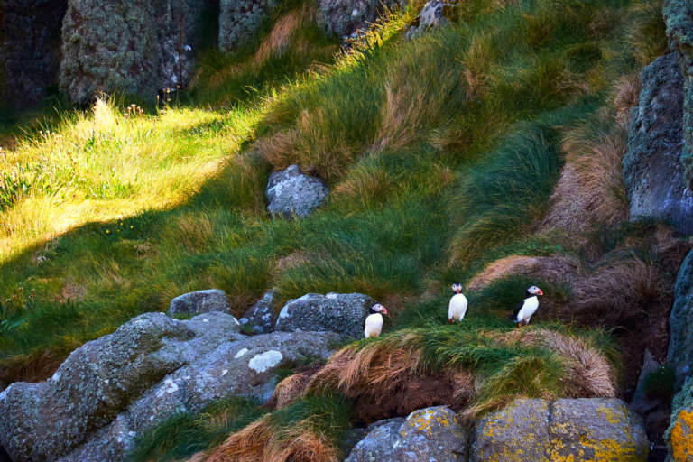 Schottland – Isle of Skye – Joachim's Foto- & Reise-Blog